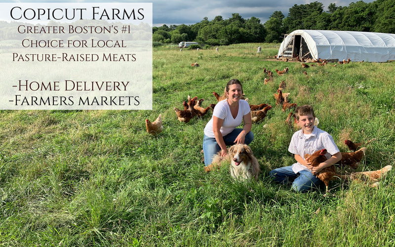 Copicut Farms | Massachusetts Farm | Local Meat | Local Poultry
